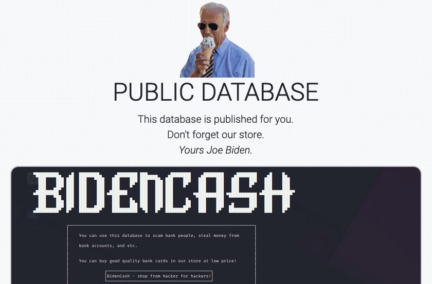 BidenCash another Credit Card Market publishes data for Free! – D3Lab